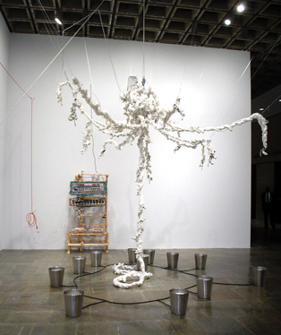 Artist Center: Tim Hawkinson