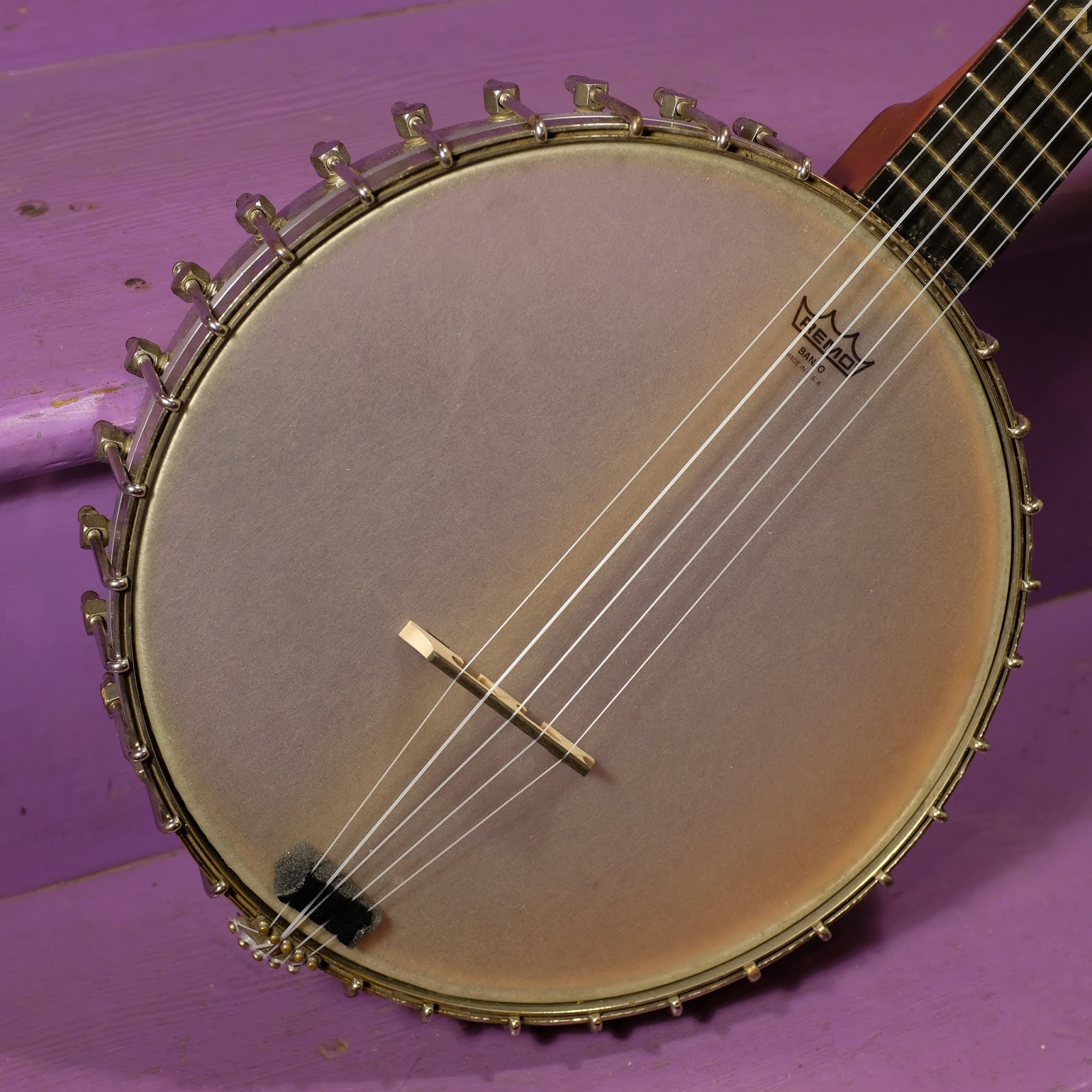 1900s Supertone-Style 5-String Openback Banjo