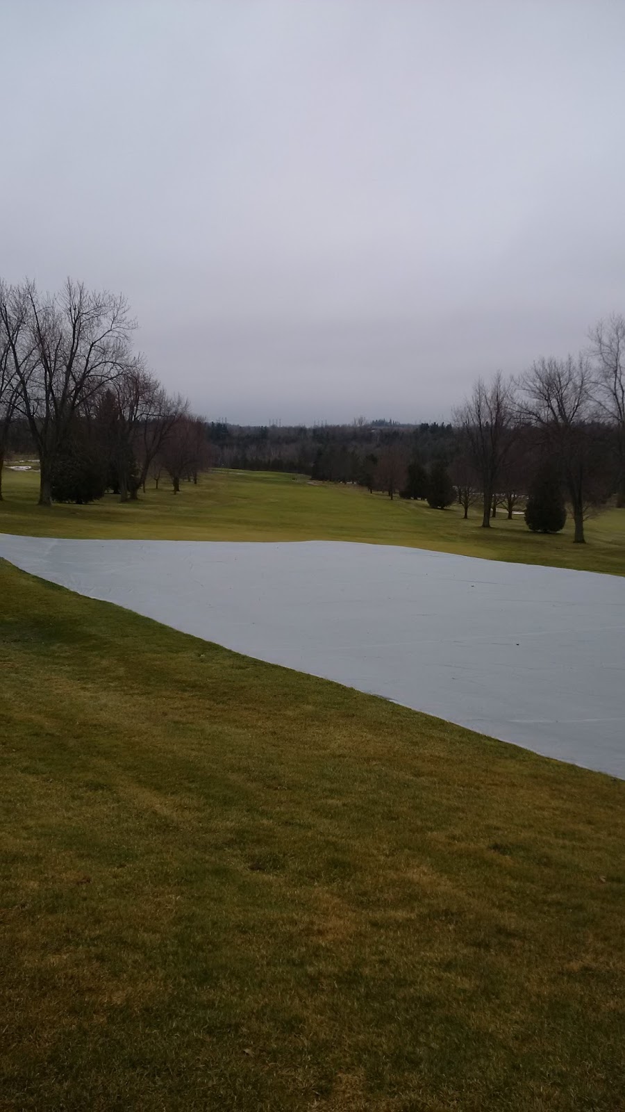 Whitevale Golf Club: January 2017