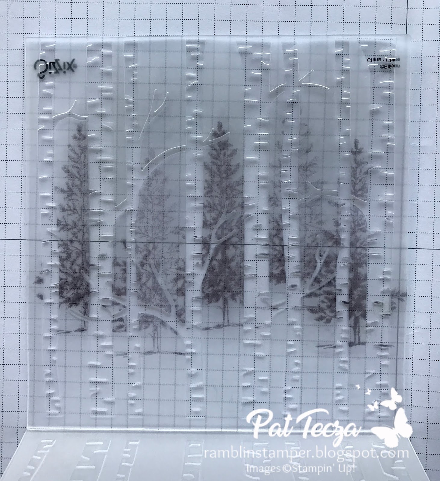 Ramblin' Stamper: Bringing Home the Tree - Fun Embossing Folder Tutorial