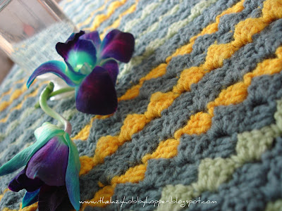 The Lazy Hobbyhopper: How to crochet diagonally - Crochet diagonal box ...