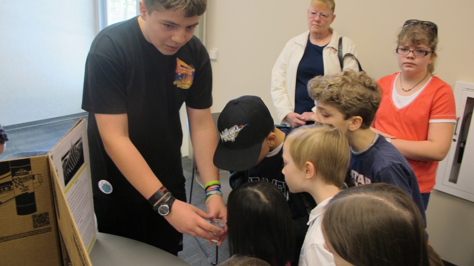 Planning a Fun Science Fair in 10 Easy Steps - Eva Varga