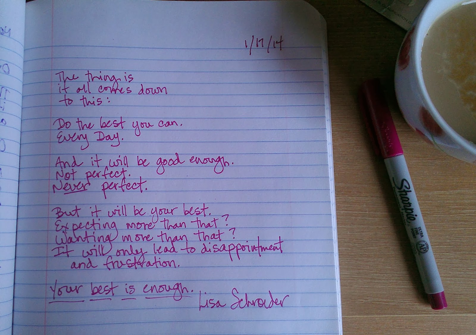 The web site of Lisa Schroeder: Diary of a writer - 1/17/14