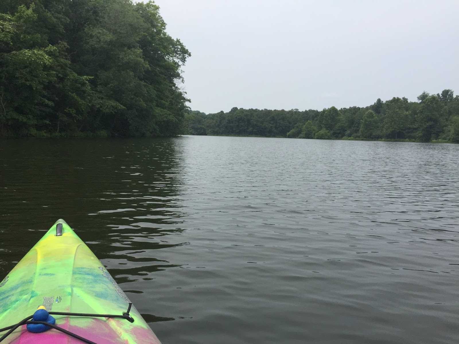 Kayaking Across Ohio: Lake Snowden: Green Heron Meditation