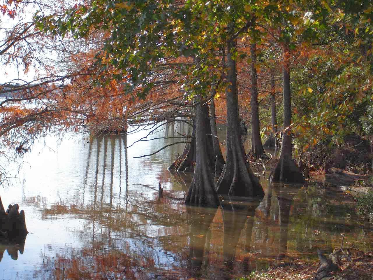 J and B and Lady Blue: B.A. Steinhagen Lake