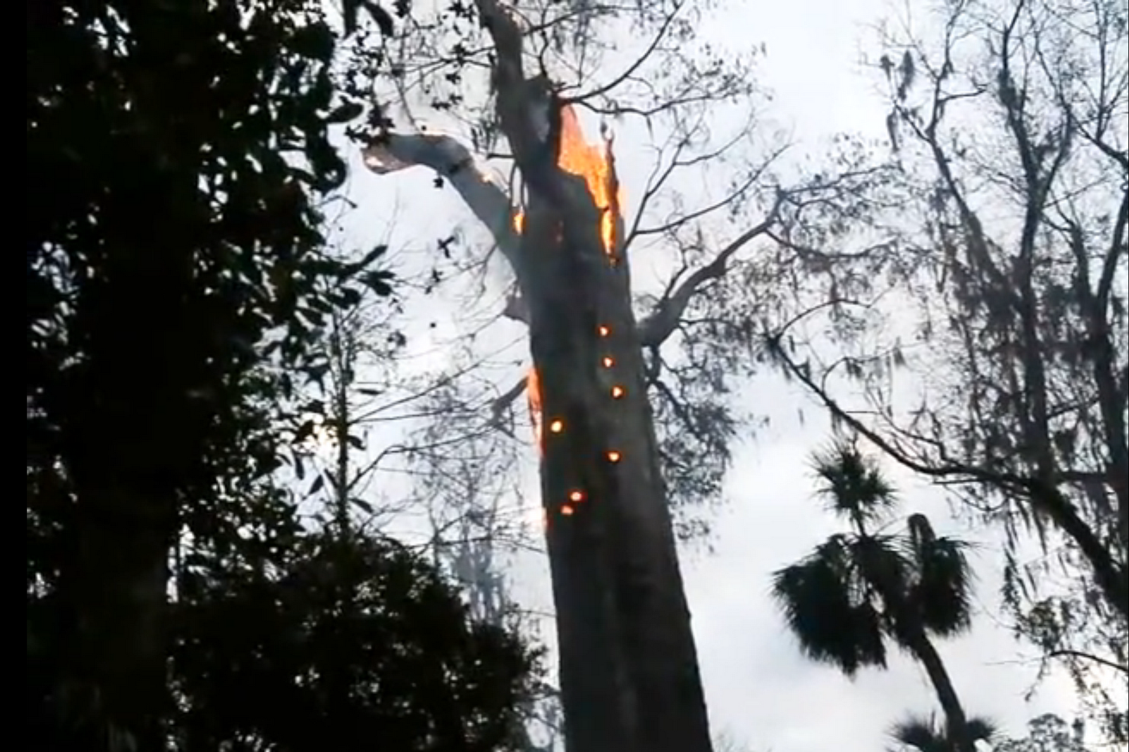 Old Florida: Central Florida's oldest attraction burns down