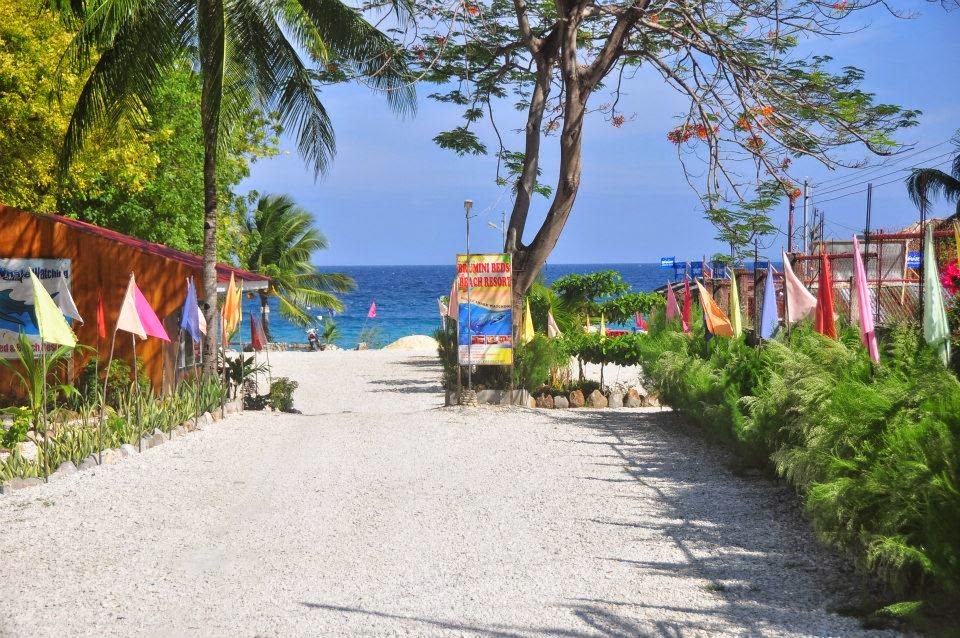 Oslob - Sumilon Island - Siquijor: Oslob Whale Shark Journey