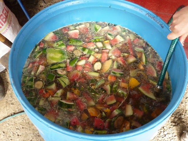 ORGANITICO: Bioles en la agricultura organica