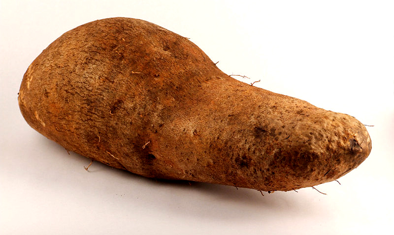 Flavors of Brazil: VEGETABLES OF BRAZIL - Cará