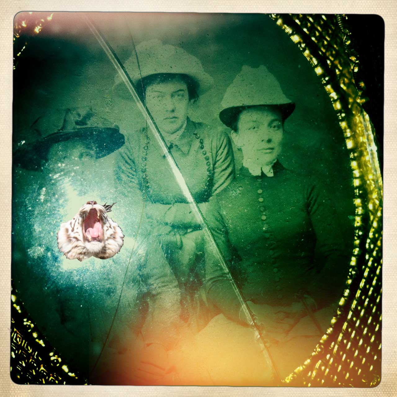 The Infinite Cat: And some more drawing from the Infinite Cat