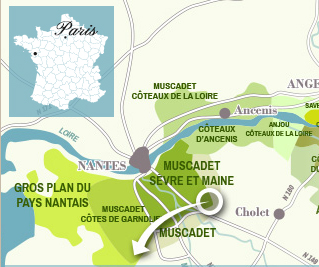 Club des Dégustateurs de Grands Vins: Les Schistes, Muscadet de Sèvre ...