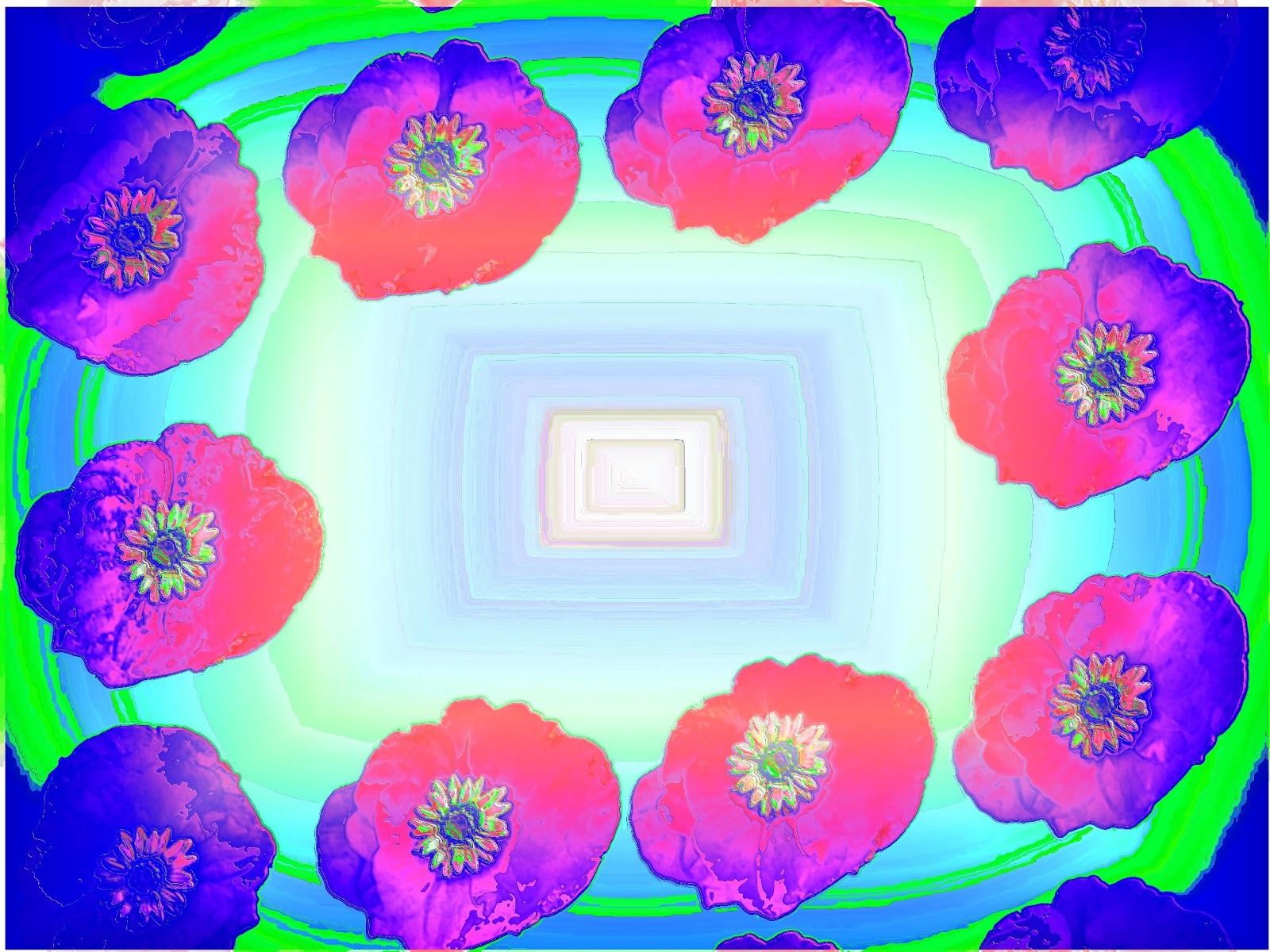 Poppy Borders And Frames June 26th, 2013