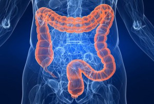 ¿Es necesaria la limpieza natural del colon? ~ El Médico Contesta