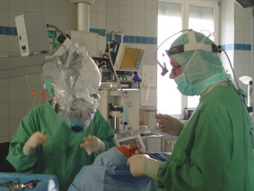 mandeloperation - Germany News Collections