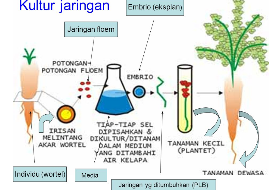 tanyapustaka: Pengertian, Jenis, Media, Teknik, Syarat, Proses, Manfaat ...
