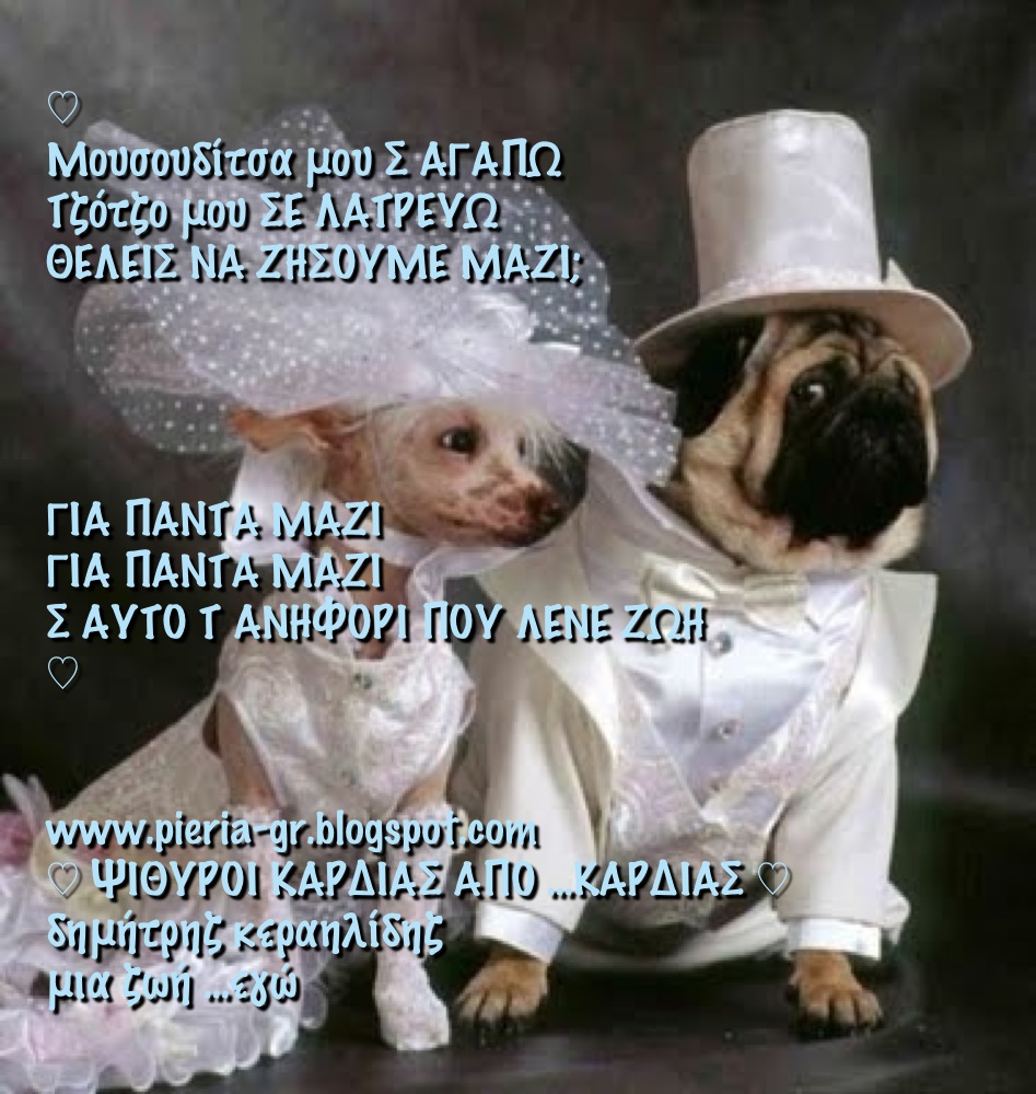 ΚΑΛΗΜΕΡΑ ...ΜΟΥΣΟΥΔΙΤΣΑ ΜΟΥ!!! ΘΕΛΕΙΣ ΝΑ ΖΗΣΟΥΜΕ ΜΑΖΙ ΓΙΑ ΠΑΝΤΑ ...