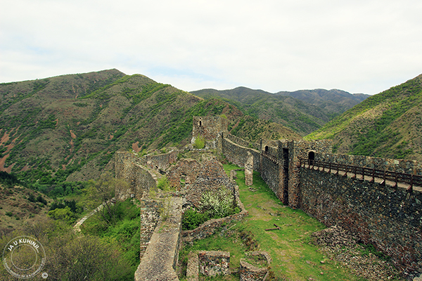JA U KUHINJI...: Dolina jorgovana - Filija (flija, redača)
