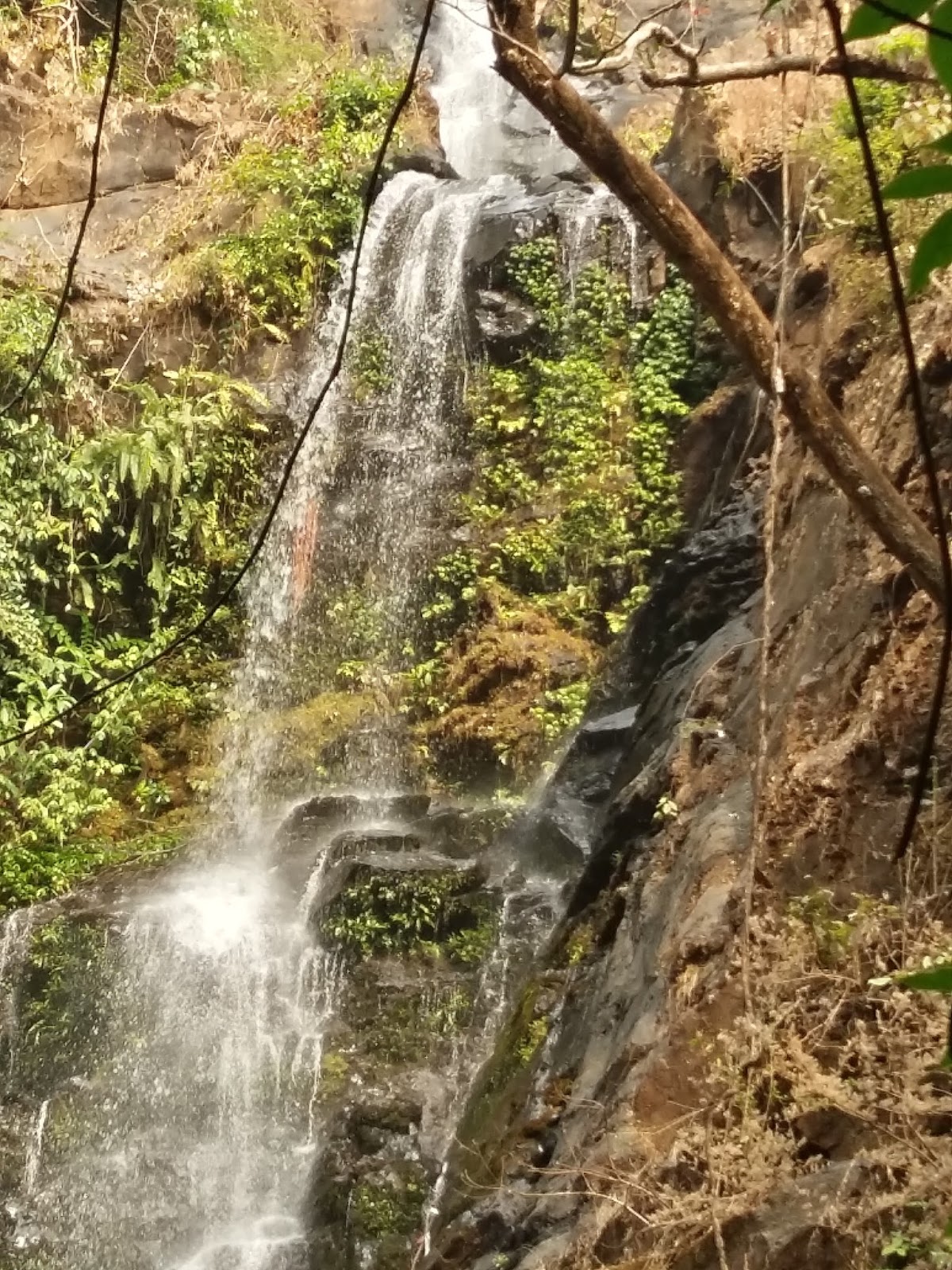 Explore Goa : Travel Goa with BBConRent: Waterfalls in Goa : Savri ...