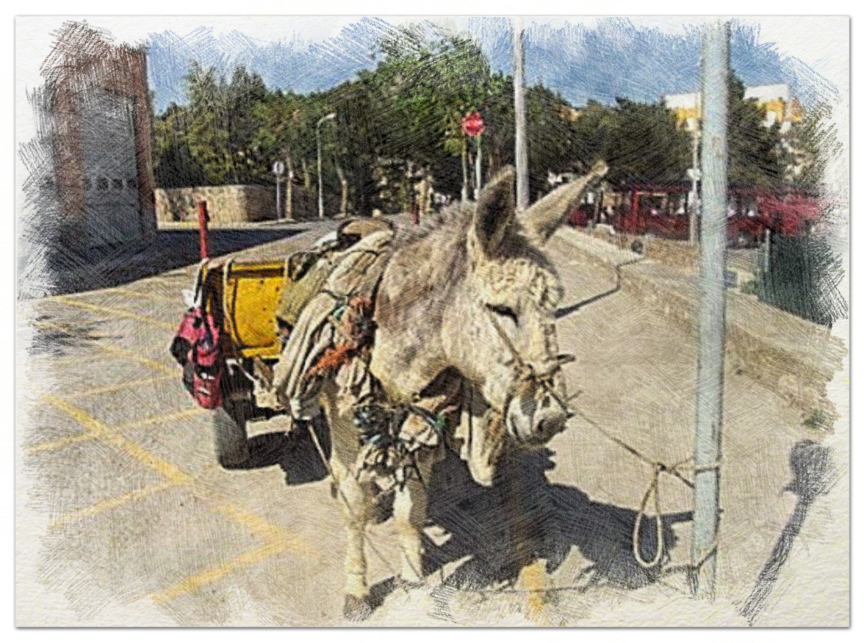 El Blog De Tuico: TUICO IMAGENES DE AYER Y DE HOY