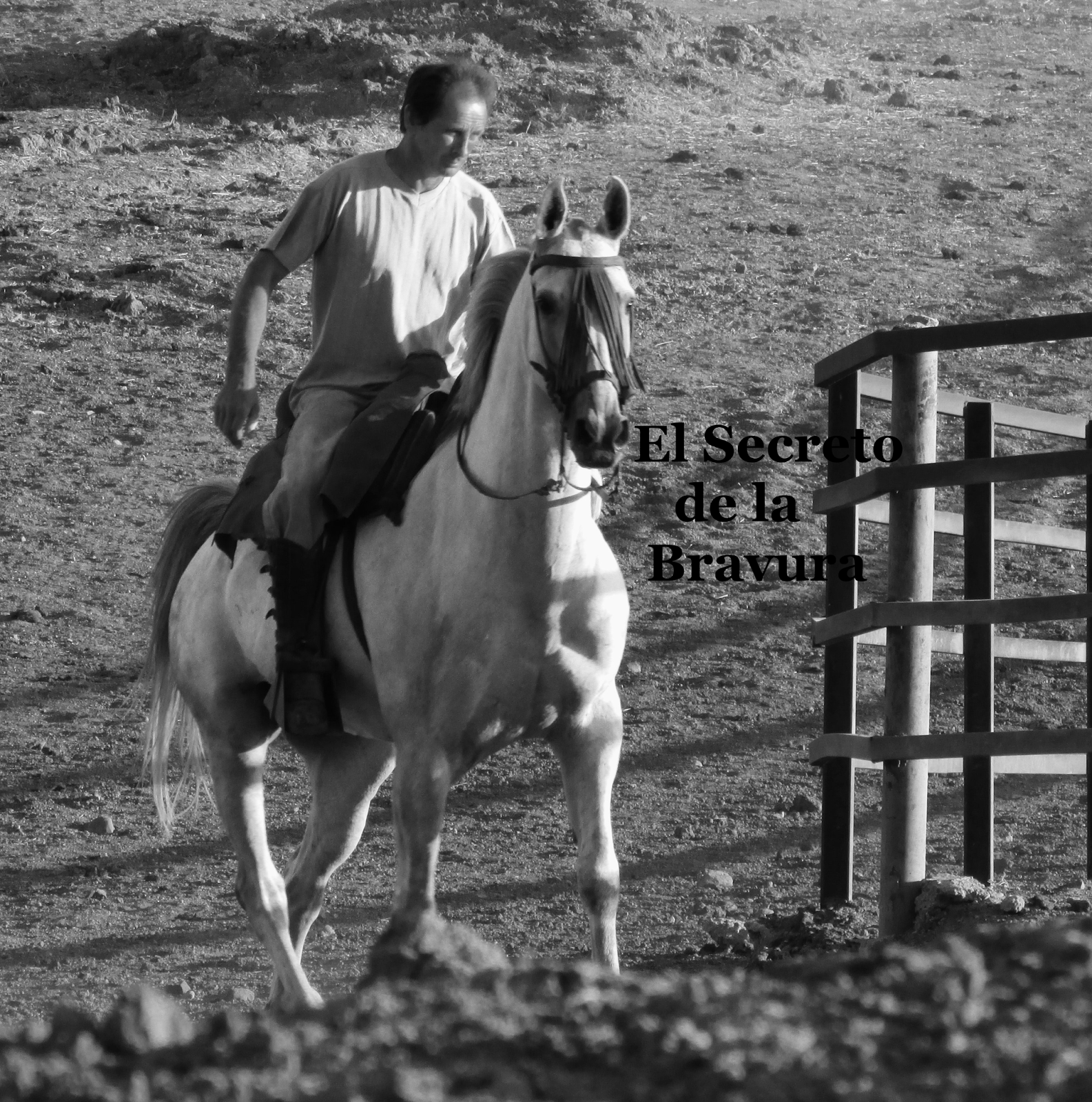 El Secreto de la Bravura: Los toros del embalse: Fuente Ymbro