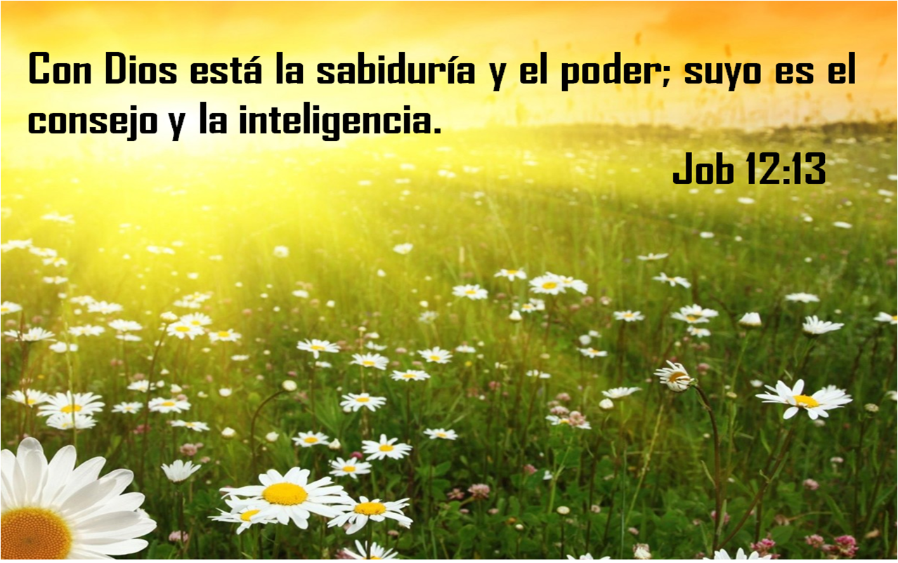 Palabra de Dios: Con Dios está la sabiduría y el poder