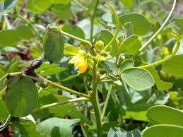 Enviar por e-mail Postar no blog! Compartilhar no Twitter Compartilhar ...