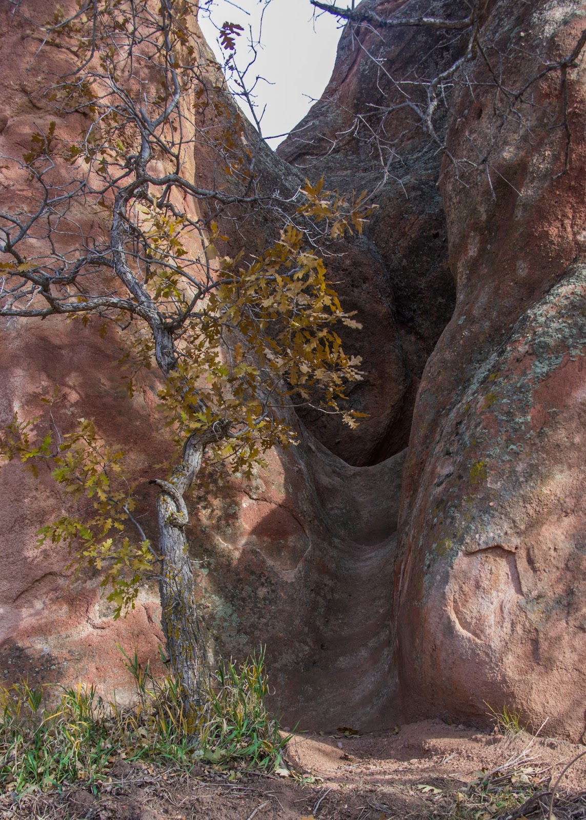 Geology 1403 - Physical Geology: Siliciclastic Sedimentary Rocks