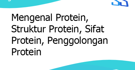 Mengenal Protein, Struktur Protein, Sifat Protein, Penggolongan Protein ...