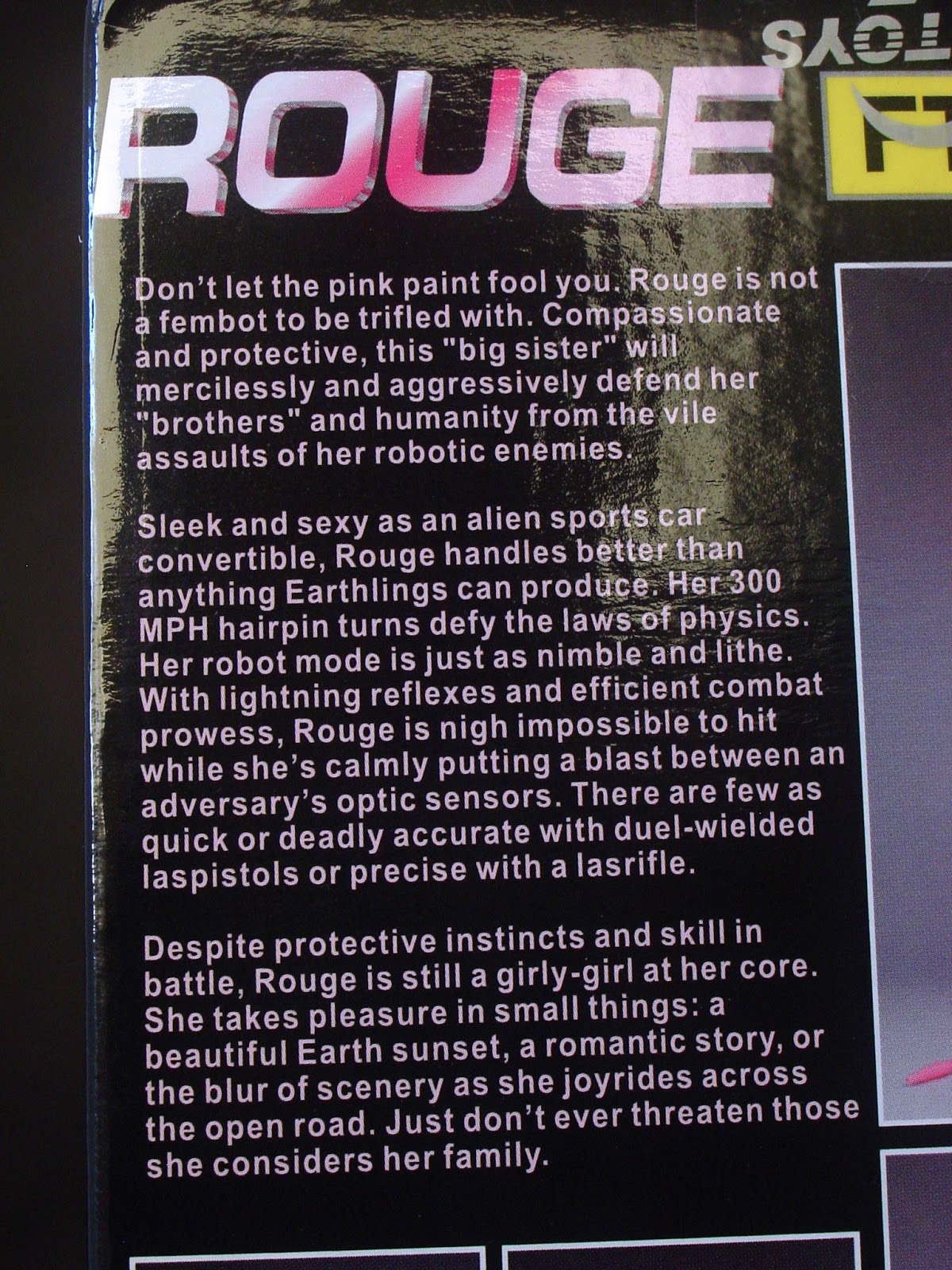 The HEXdidn't... TransFormers Collection Blog: FansToys FT-24 Rouge