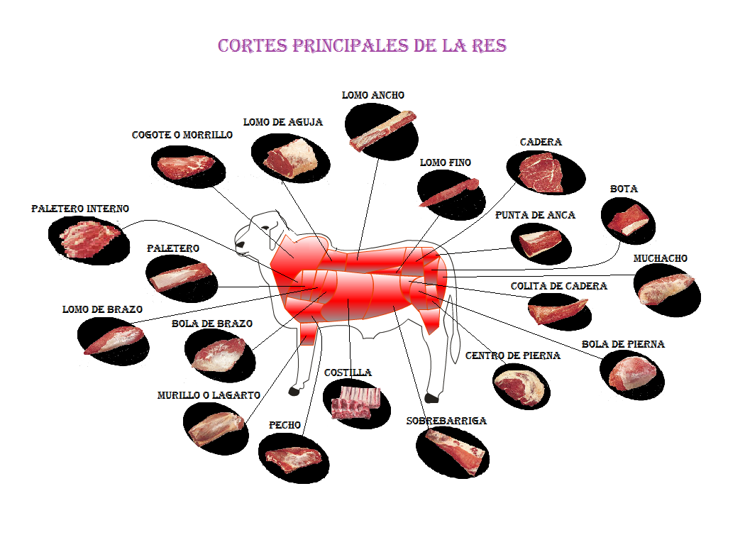 Gastronomia y Sabor: CORTES DE LA RES
