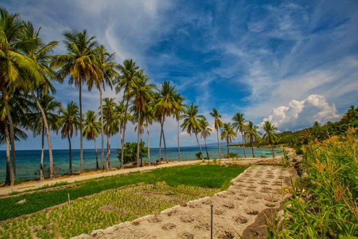 Praia de Wataboo - Baucau (East Timor) ~ Baucau History & Nature ...