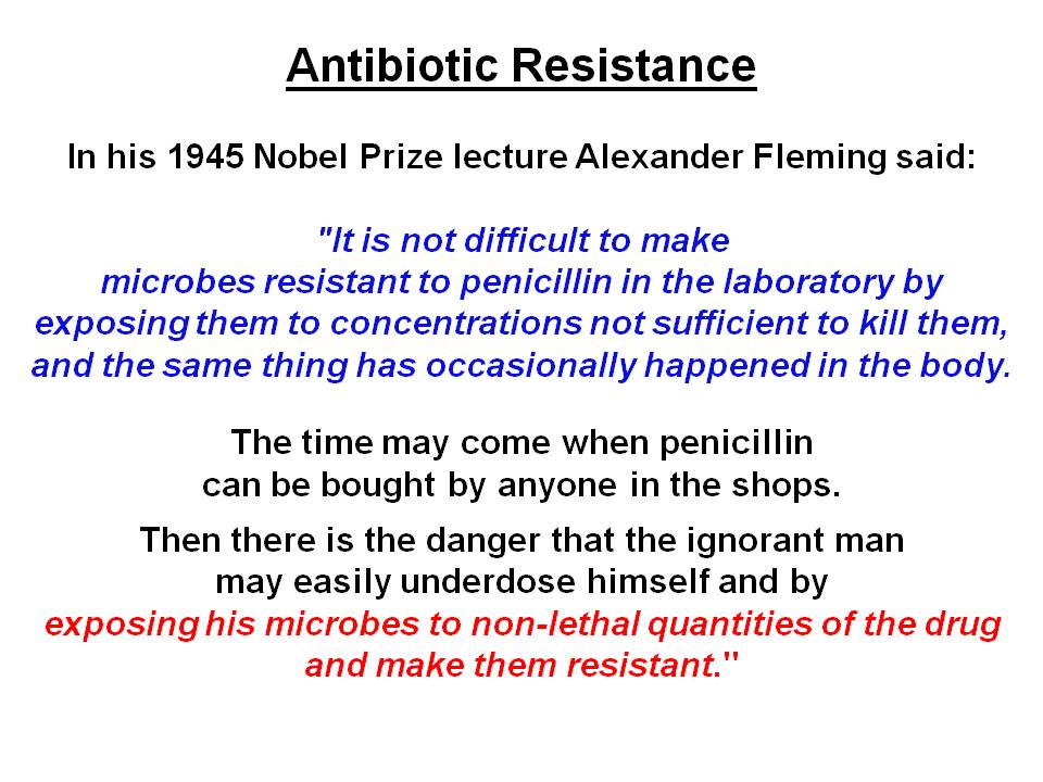 ektalks: Alexander Fleming: Penicillin, Antibiotics, Nobel Laureate ...