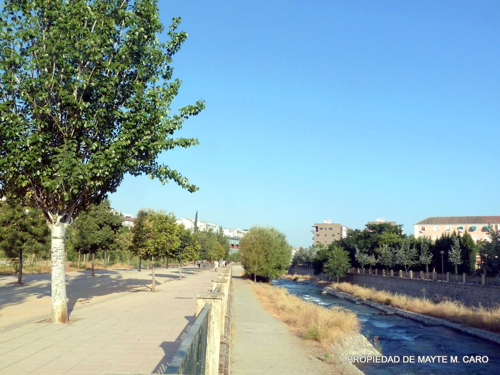 FUENTES EN GRANADA: Nuestro rio Genil a su paso por la ciudad.