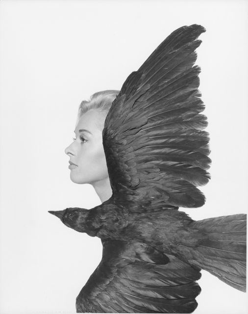 new news 2012: Photographer Profile ~ Philippe Halsman