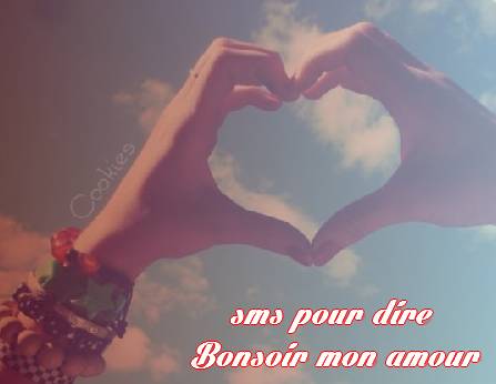 sms pour dire Bonsoir mon amour