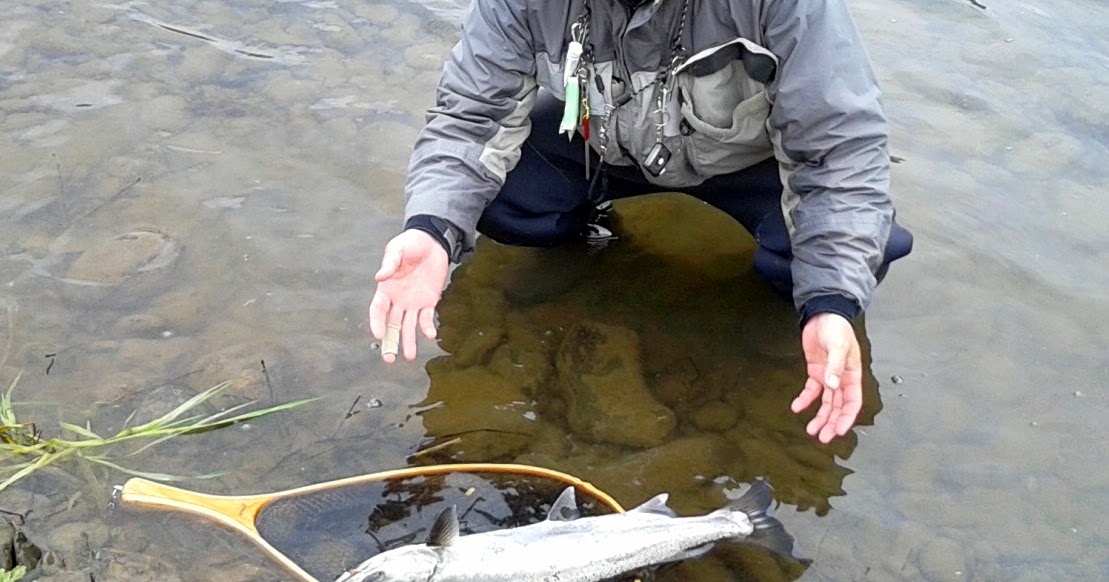 ncaflyfish: Two Handed