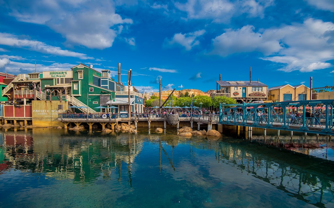 Disney Photoblography