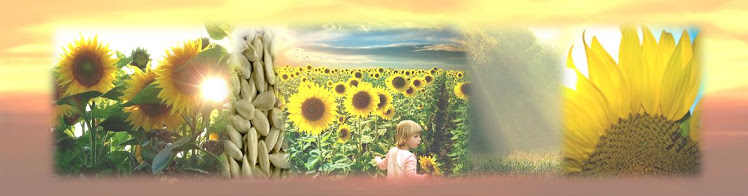 Our Gifts: Jy as vrou, word geroep om jou skoene vol te staan vir God!