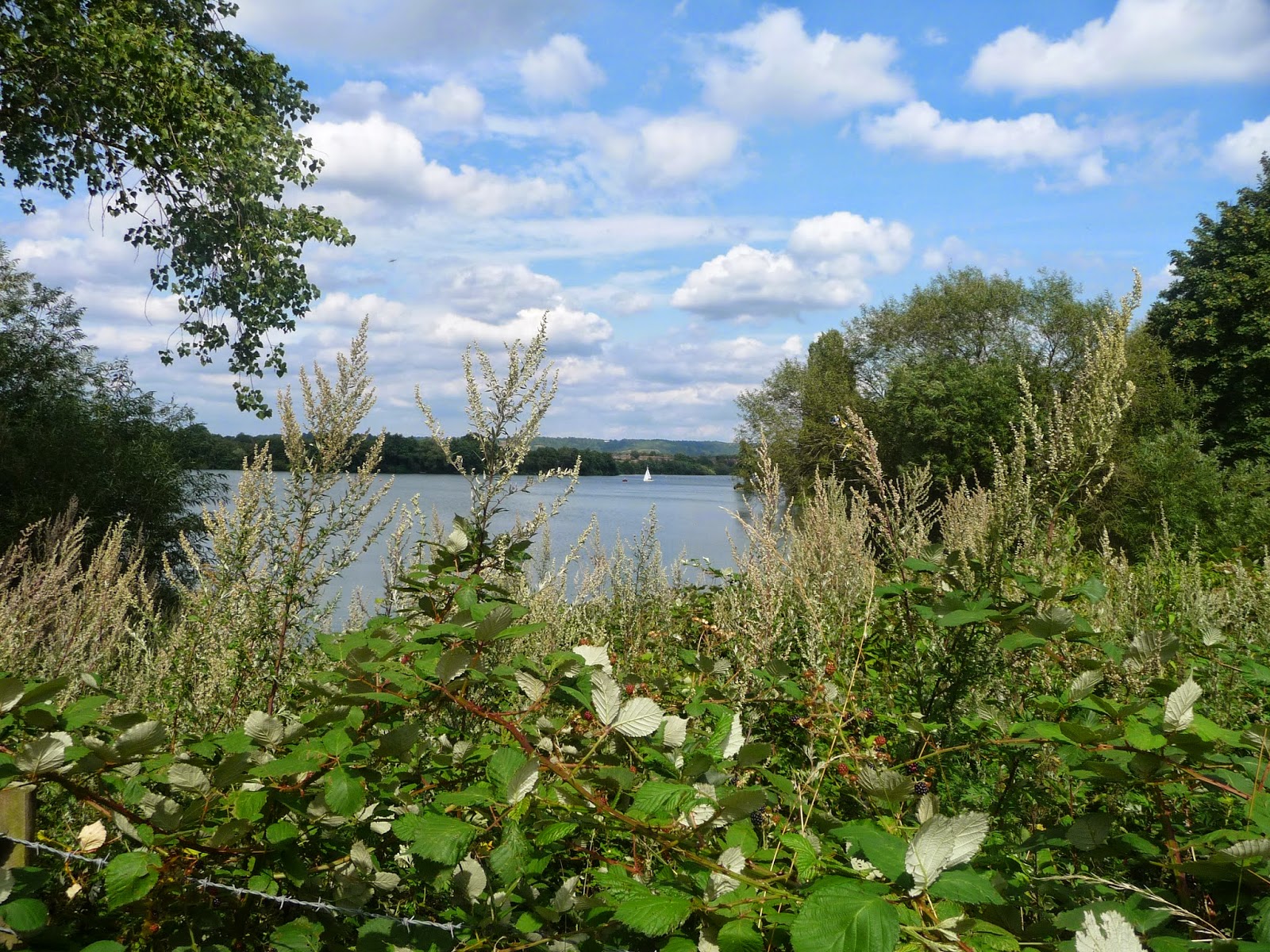 No Visible Lycra: Spur-of-the-moment solo ride to Chipstead Lake...