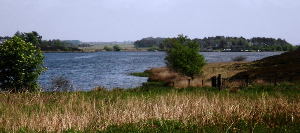 My Daily Walk: Arria then on to Fannyside Loch