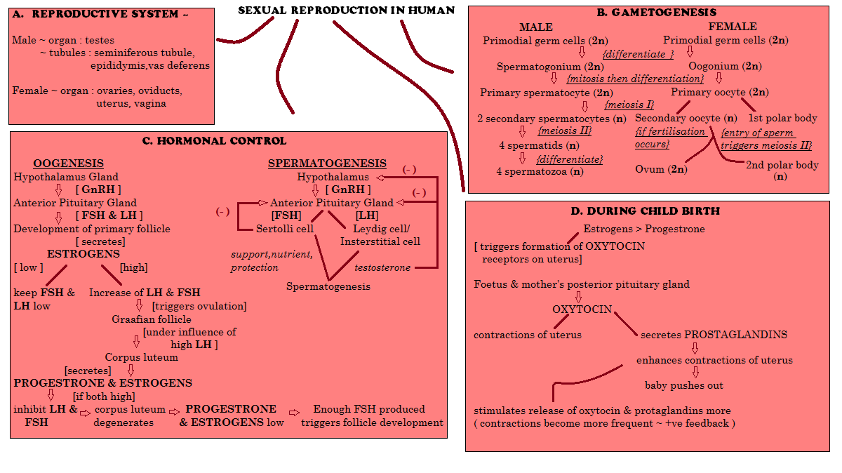 ACADEMIC ZONE: BIOLOGY ZONE
