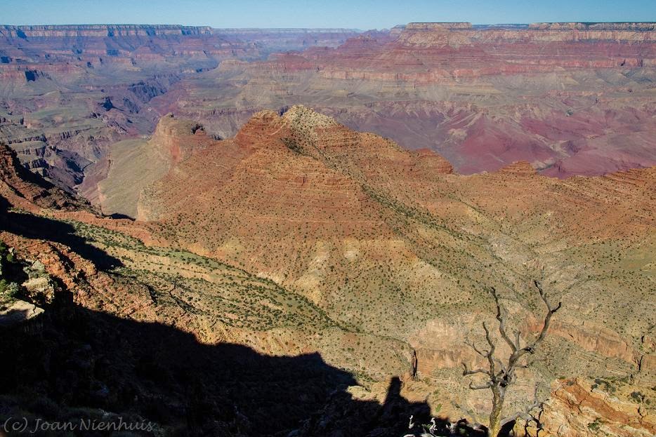 Pacific Northwest Photography: Arizona: Grand Canyon Desert View Drive