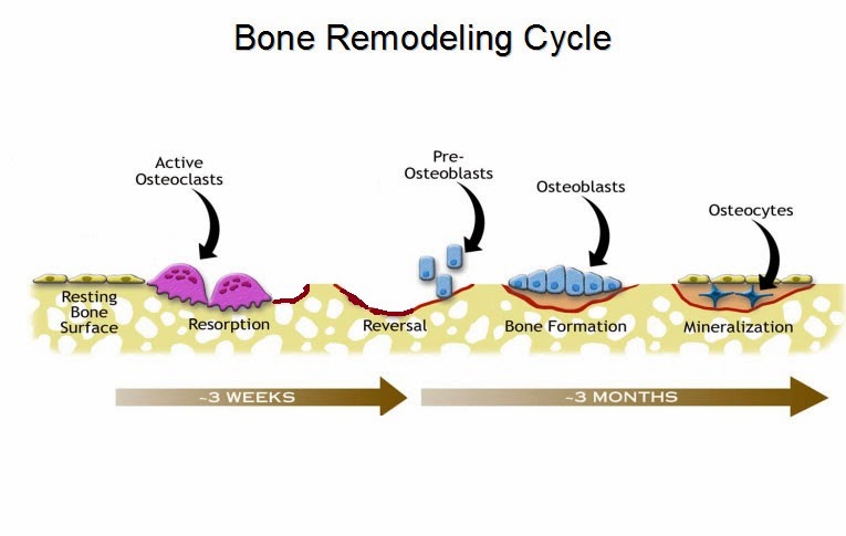 Dr. Burgar - Hand and Upper Extremity Surgeon