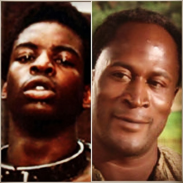 Blog do Laprovitera: Kunta Kinte