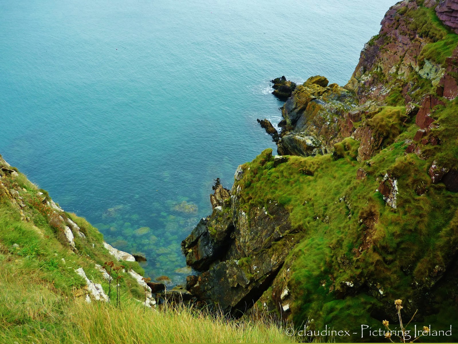 Picturing Ireland : Cliff walk around Ardmore Head in Co Waterford
