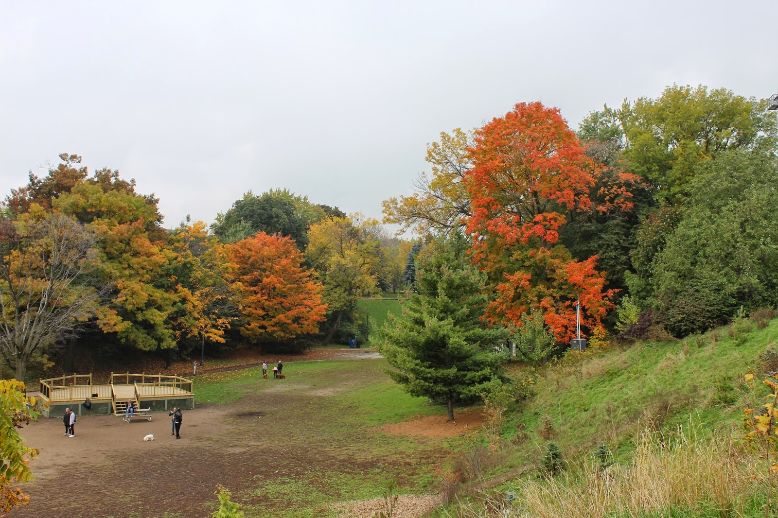 Trinity Bellwoods Park - Autumn 2014