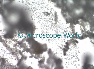Microscope World Blog: Sodium Hydroxide under the Microscope