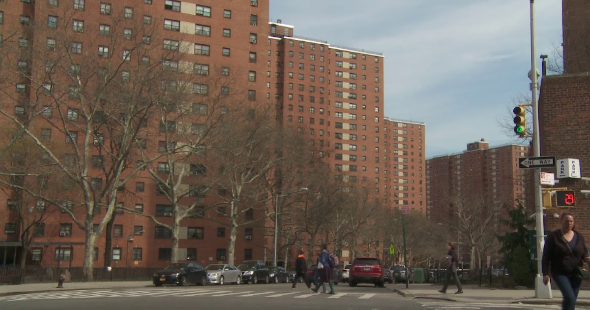 The Swamp: Harlem Timeline - 4. Part 4