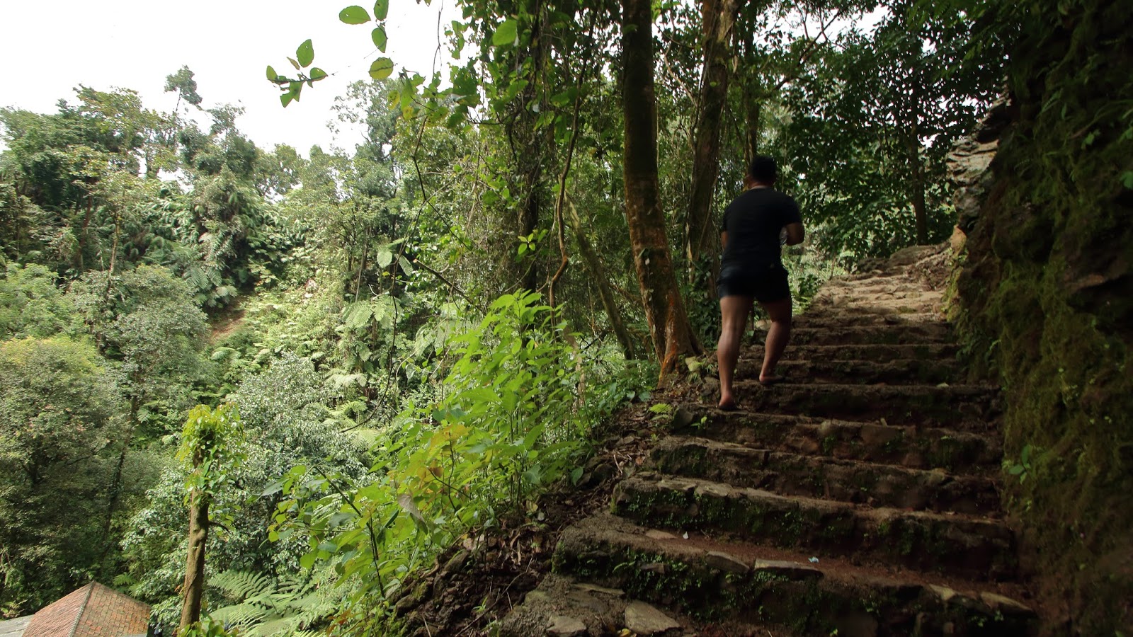 Water Trek di Taman Nasional Gunung Halimun Salak: Curug Kondang, Green ...