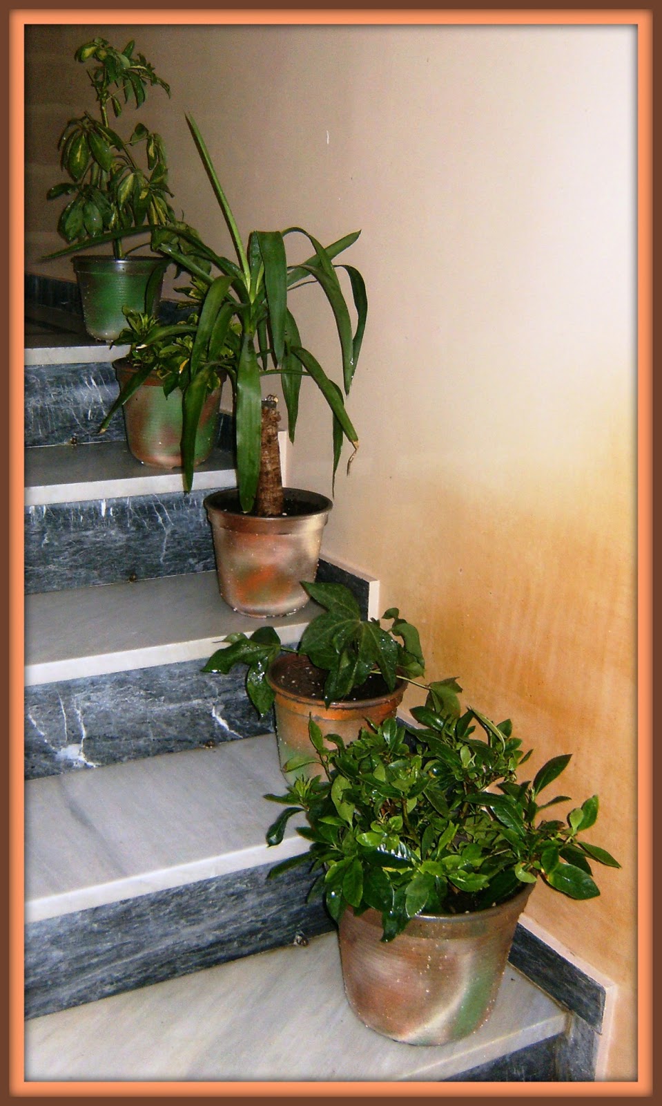 lila365idees: ΑΠΛΗ ΔΙΑΚΟΣΜΗΣΗ ΓΛΑΣΤΡΩΝ (MINIMAL DESIGN OF POTS)